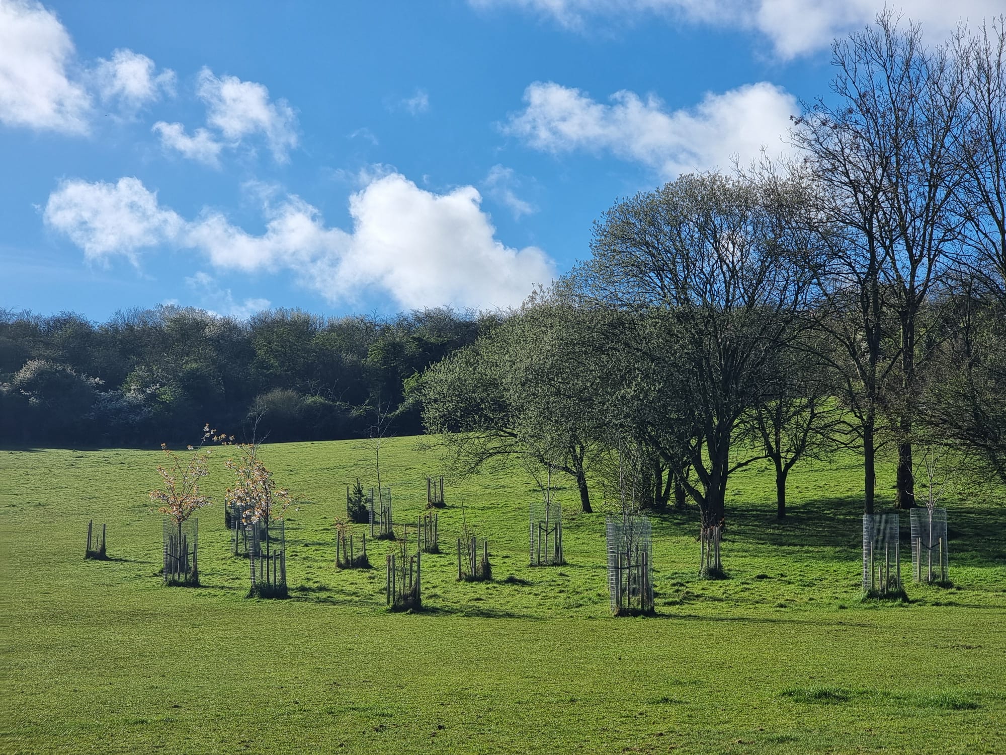 Mentmore Recreation Ground - Dunstable Town Council